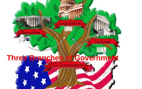 Three Branches of Government by Nita Thompson