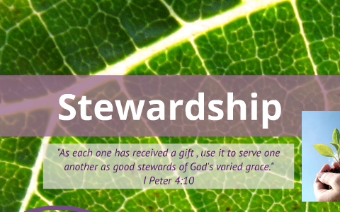 What Does It Mean To Be A Steward? by Emme Kacur on Prezi Next