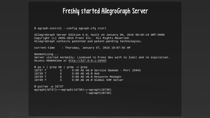 AllegroGraph Architecture by Ahmon Dancy on Prezi