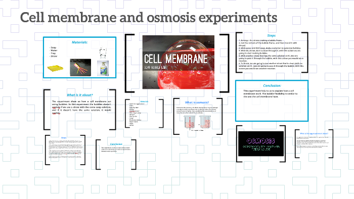 Cell membrane experiments by Carolina Ochoa Builes on Prezi