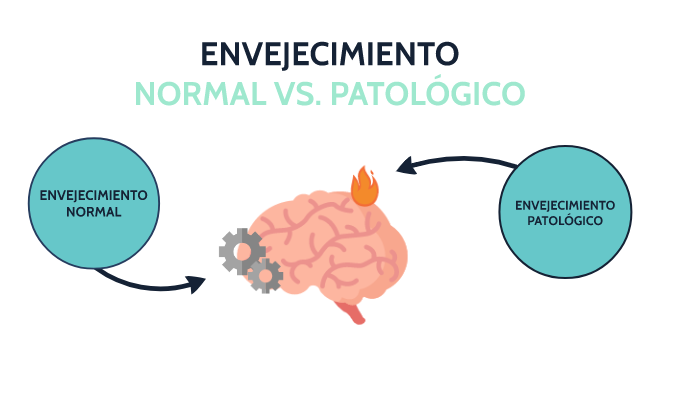 Envejecimiento Normal vs Patológico by Isaac Araúz on Prezi