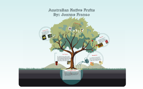 Australian Native Fruits and Vegetables by Joanne Franco on Prezi