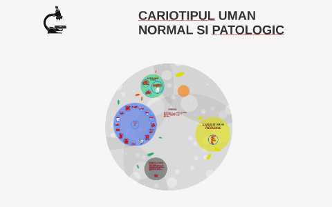 CARIOTIPUL UMAN NORMAL SI PATOLOGIC by Maria Alexandra on Prezi
