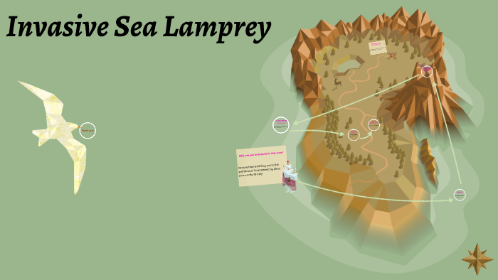 Invasive Sea Lamprey by Dylen Hurrell on Prezi