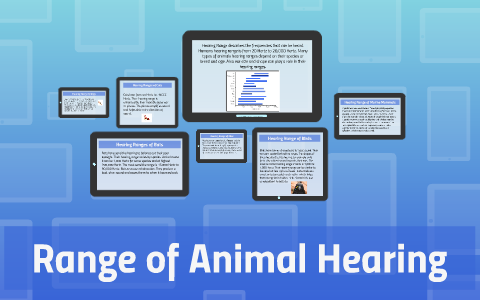 Range of Animal Hearing by Sophie Drew on Prezi