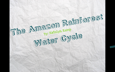 Amazon Rainforest Water Cycle by Katelyn Kemp on Prezi