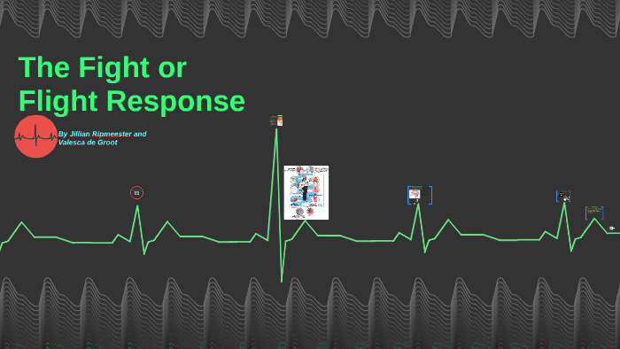 The Fight or Flight Response by Jillian Ripmeester on Prezi