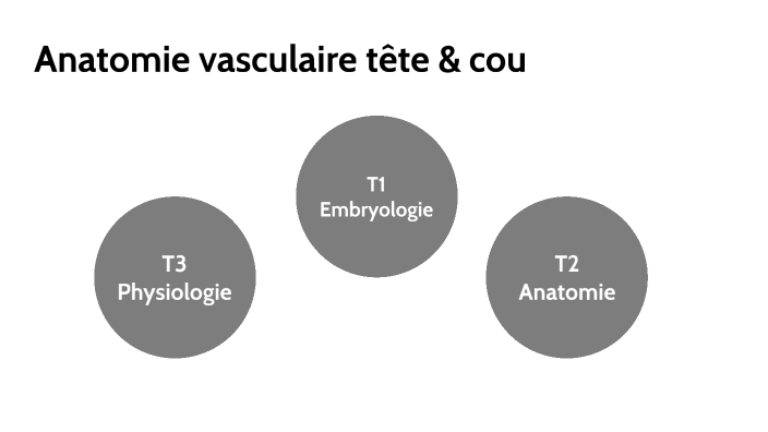 Anatomie vasculaire tête & cou by Mathieu Chamberland on Prezi