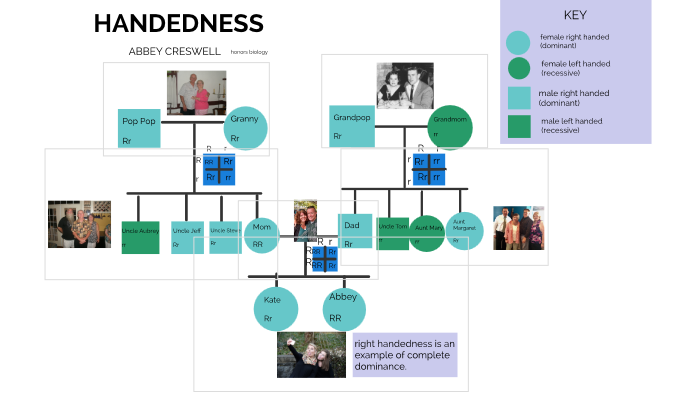 Handedness Pedigree Chart by Abbey Creswell on Prezi
