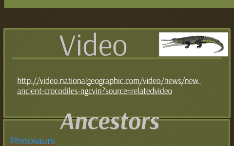 Evolution Of Crocodiles By Kimberly Lovan On Prezi