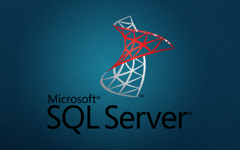Definicion SQL Server by carolina alvarado