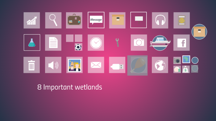 Wetlands by Haley Pletcher on Prezi