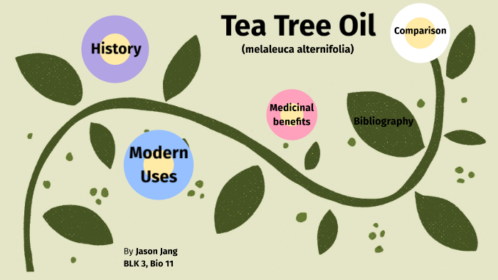 Medicinal plants project by Jason Jang on Prezi