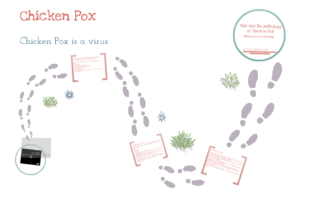 The Pathology of Chicken Pox by Aine Thomas on Prezi