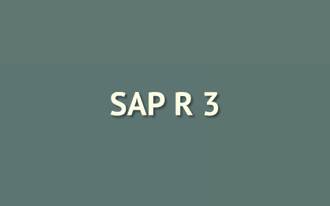 sap r3 by on Prezi