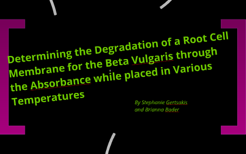 Permeability Beet Lab by Brianna Bader on Prezi