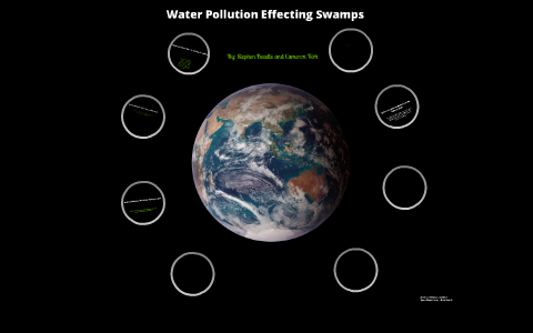 Water Pollution in Swamps by cameron kirk on Prezi