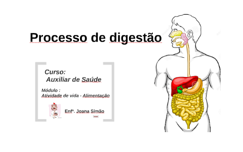 Processo de digestão by Joana Simão on Prezi
