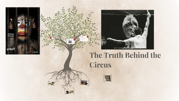The Truth Behind the Circus by Kailey Gilbert