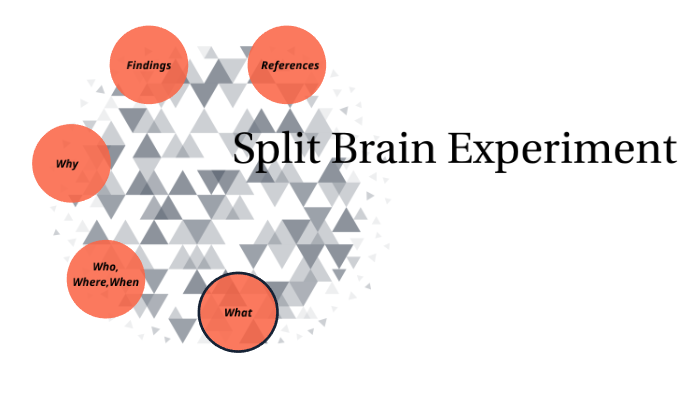Split Brain experiment by Sinéad Doyle on Prezi