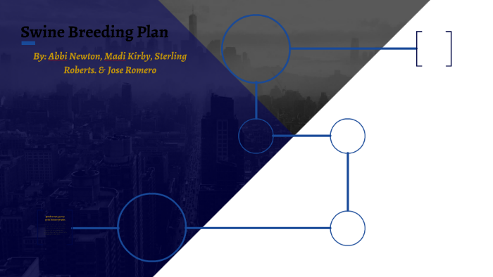 Swine Breeding Plan by on Prezi
