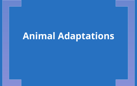 Animal Biology: Animal Adaptations by Alexandra Castleman on Prezi