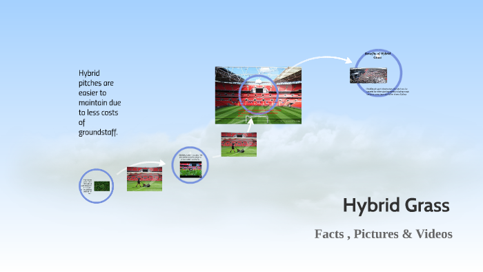 Hybrid Grass by Jamie Armer on Prezi