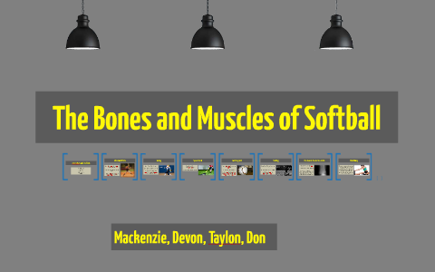The Bones and Muscles of Softball by Mackenzie Townsend on Prezi