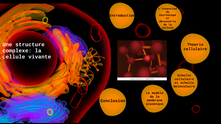 Une structure complexe :la cellule vivante by Casssandre Robbé on Prezi