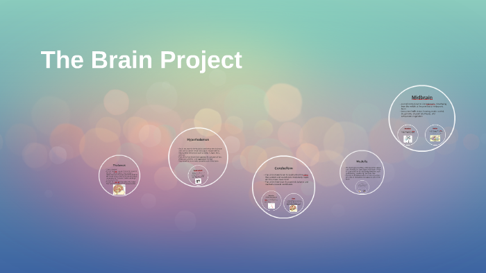 Brain Project by Skye Persons on Prezi