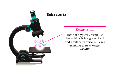Eubacteria by Adrien Buttram on Prezi