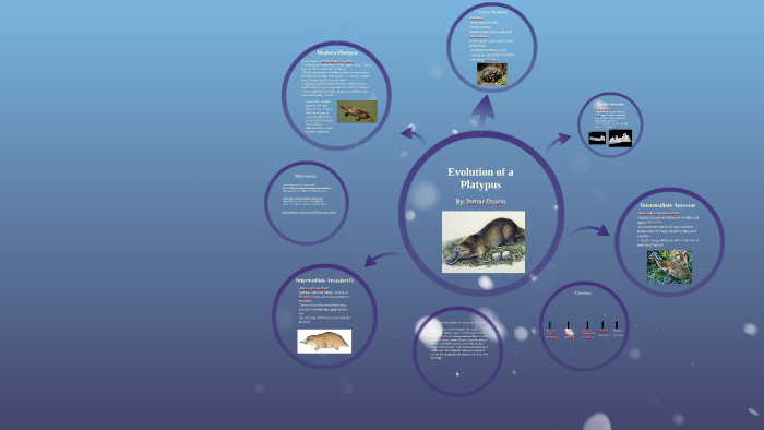 Evolution of a Platypus by inmar osorio on Prezi