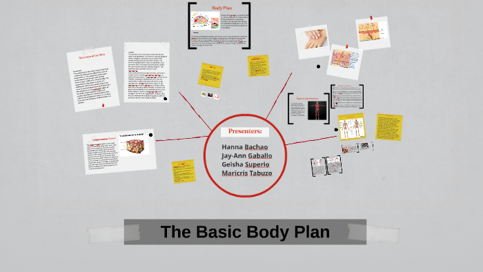 The Basic Body Plan by Jesper Superio on Prezi