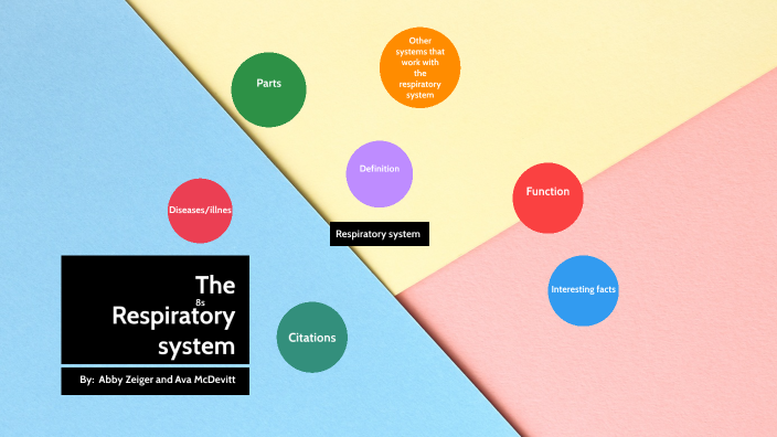 respiratory system by Ava McDevitt on Prezi