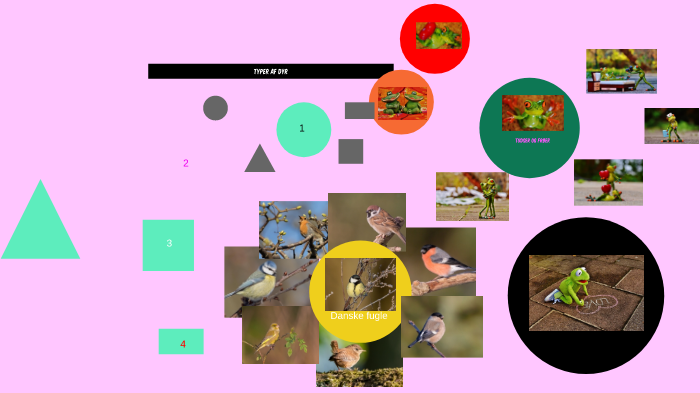 Typer af dyr by Tina Jørgensen on Prezi
