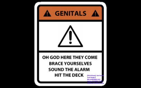 PRESENTATION by Emily Thorley on Prezi