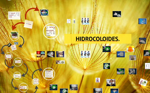 HIDROCOLOIDES. by Anali Galindo on Prezi