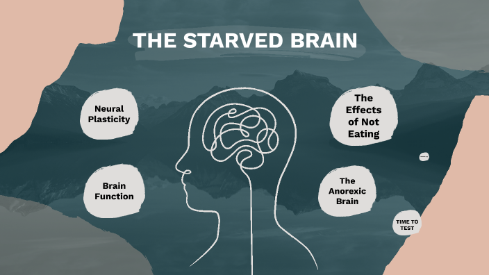 The Starved Brain by Bronia Davison on Prezi
