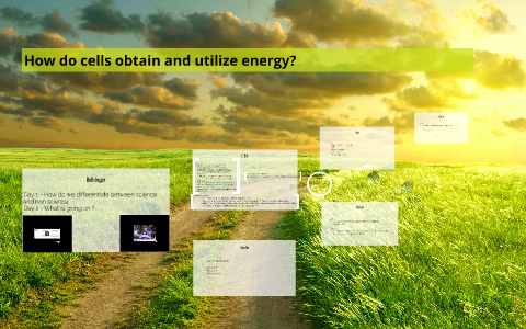 How do cells obtain and utilize energy? by on Prezi