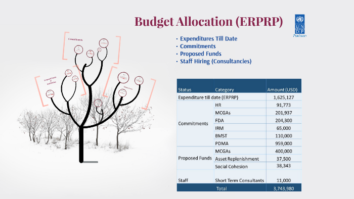 Budget Allocation (ERPRP) by Ariel Anwar on Prezi