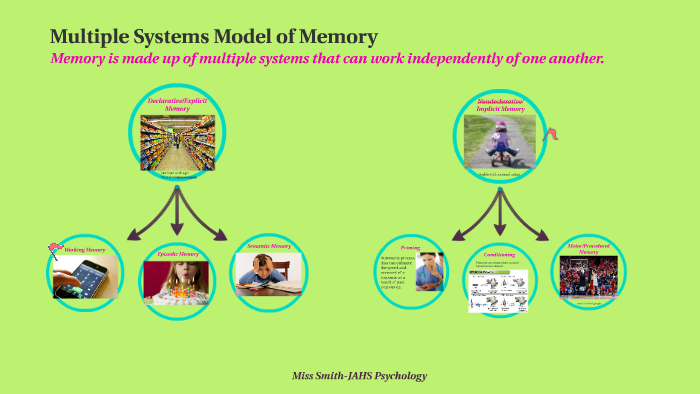 Multiple Systems Model of Memory by Jackie Smith on Prezi