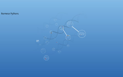 Burmese Pythons by Jake Vivier on Prezi