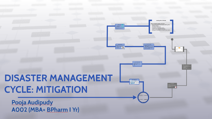 DISASTER MANAGEMENT CYCLE: MITIGATION by Pooja Kumar on Prezi