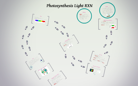 Photosynthesis Light RXN by Jessica Lennox on Prezi