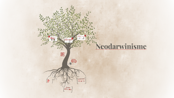 Neodarwinisme by Elia Rincón Bernat on Prezi