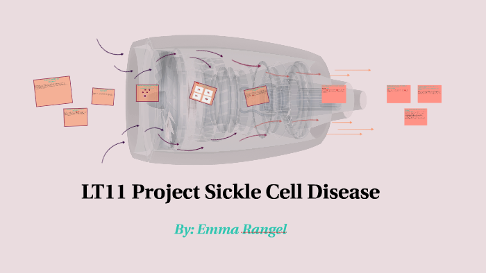 Emma Rangel by Emma Rangel on Prezi