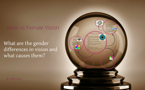 Male vs Female Vision by Nele Simon on Prezi
