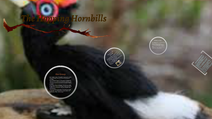 Rhinoceros Hornbill Enclosure by Christa Irby on Prezi