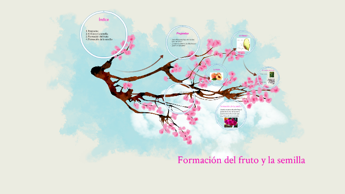 Formación del fruto y la semilla by Sarai Sanmiguel on Prezi