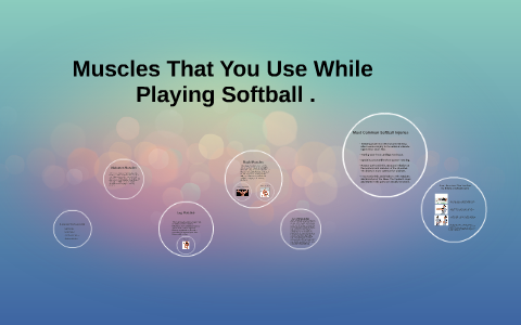 Muscles Used While Playing Softball by kylie roach on Prezi